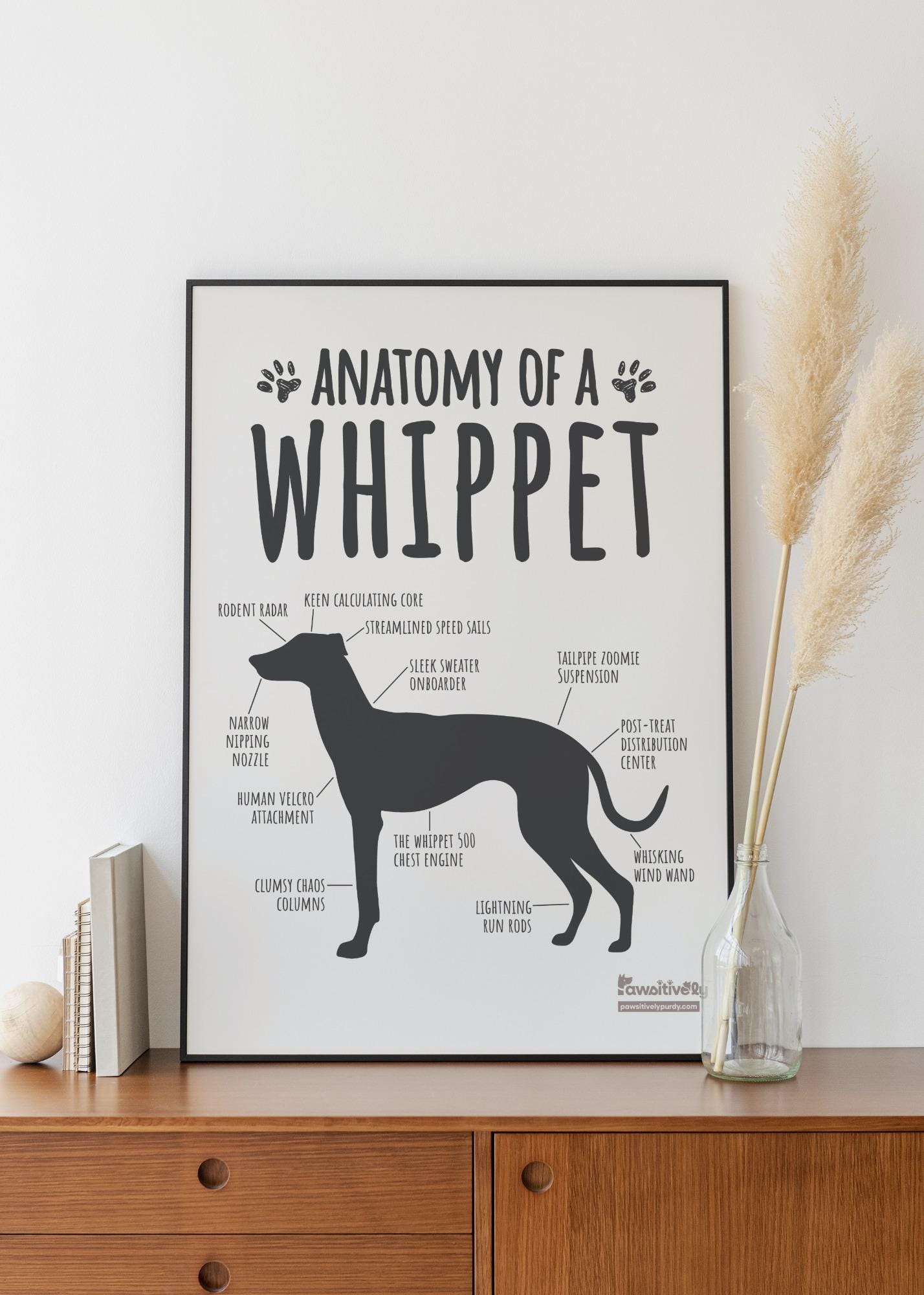 Funny Whippet Anatomy Chart Print: Dog Lover Gift (digital File) - Etsy