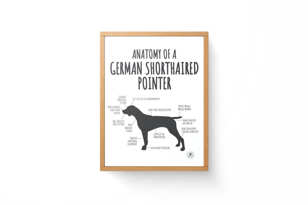 German Shorthaired Pointer Print, Dog Fun Cute Anatomy Chart, Breed ...