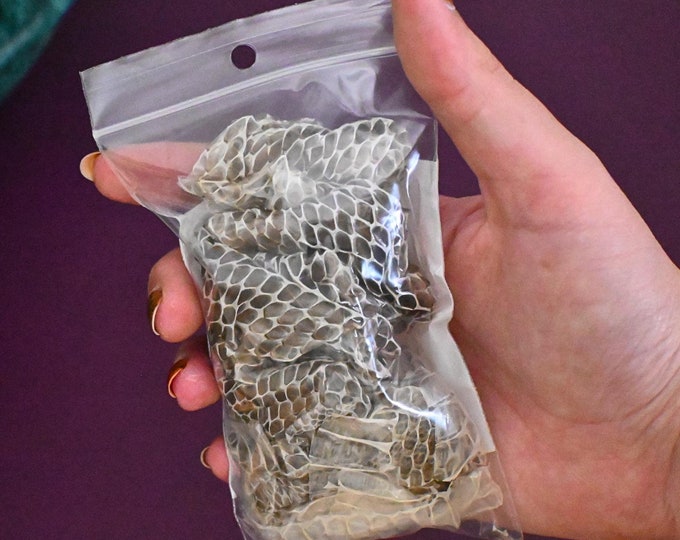 Natural Snake Shed Skin for Crafts, Magic, and Bioactive Enclosures ...