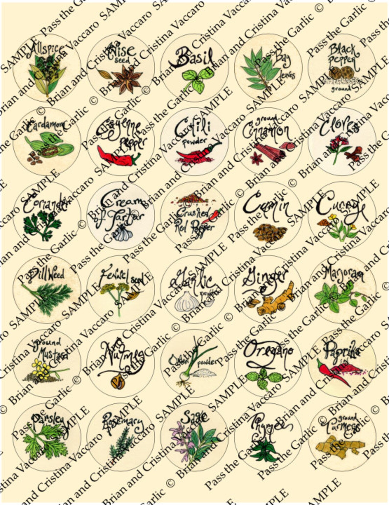 Spice Labels Hand-Drawn Colorful Cute Labels for Spice Jars | Etsy