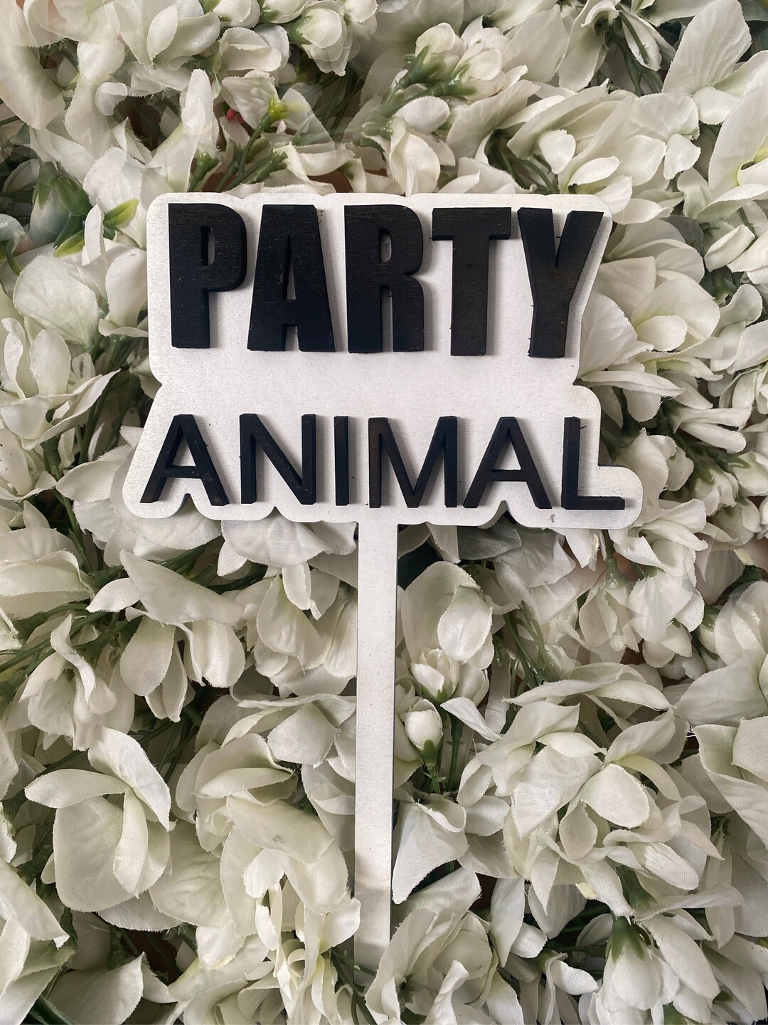 Party Animal Photo Booth Prop: Reusable Wooden Party Decor - Etsy