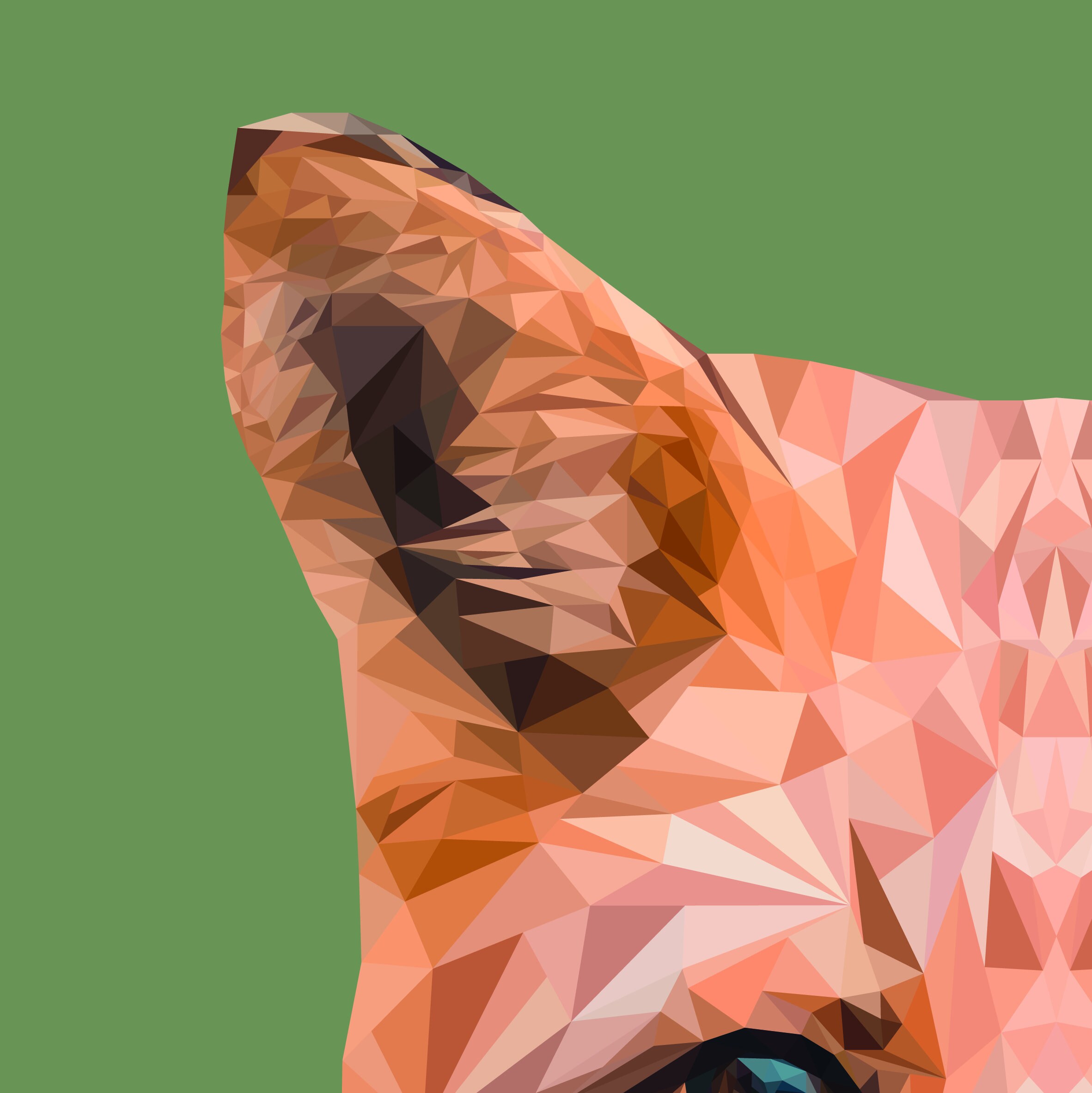 Fox Face Illustration, Polygon Drawing, Polygonal Art, Digital Print ...