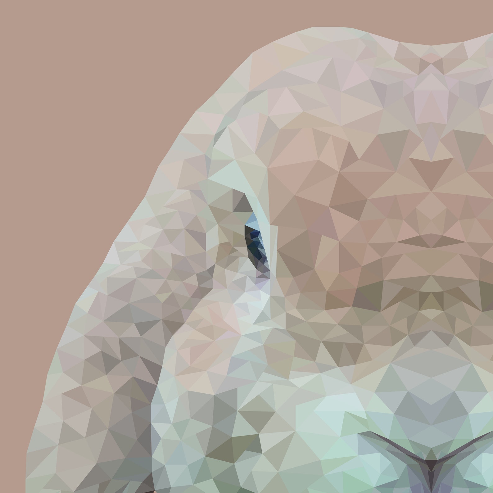 Bunny Face Illustration, Polygon Drawing, Polygonal Art, Digital Print ...