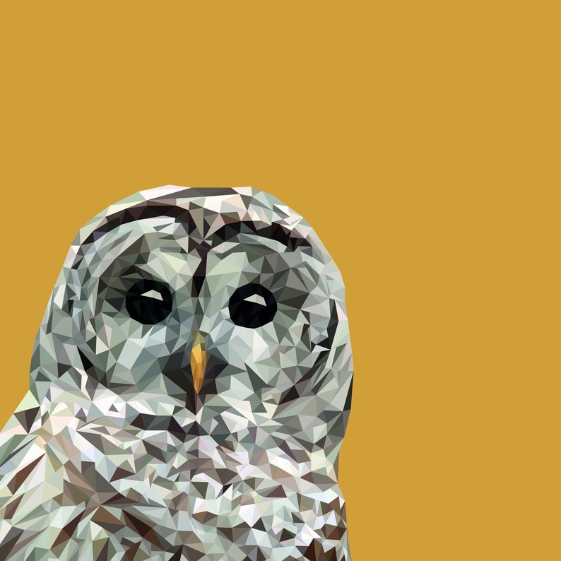 Owl Illustration Polygon Drawing Polygonal Art Digital - Etsy UK