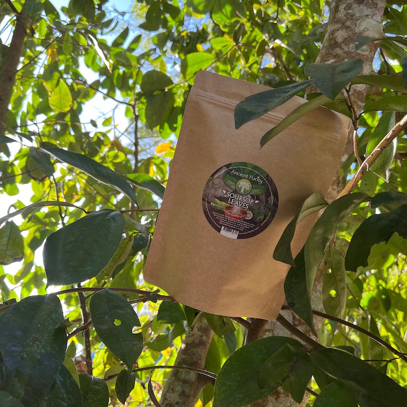 Leaf of Life Tea - Etsy