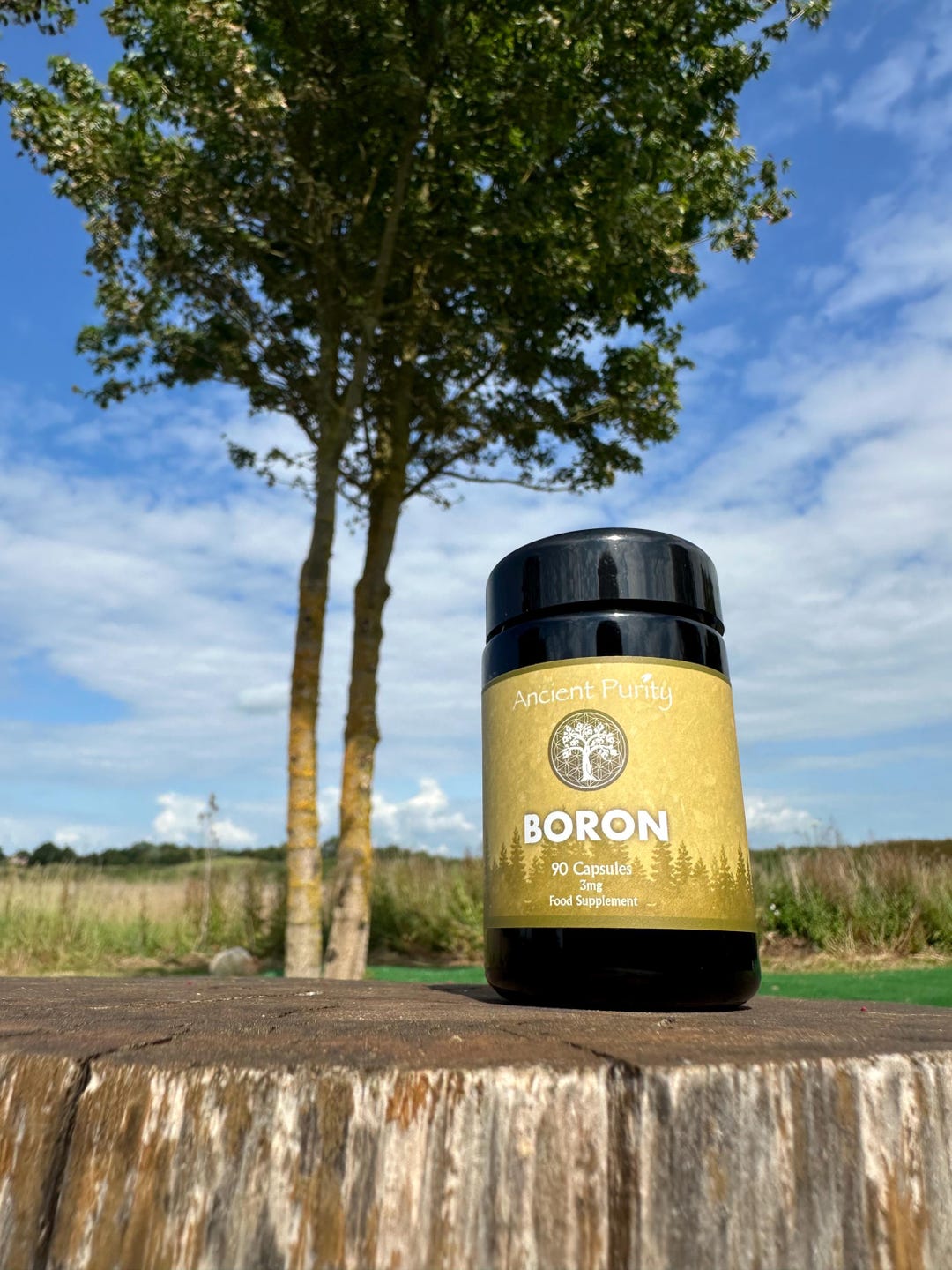 Boron Complex - 90 X 3mg Capsules | Clean Safe Effective Boron ...