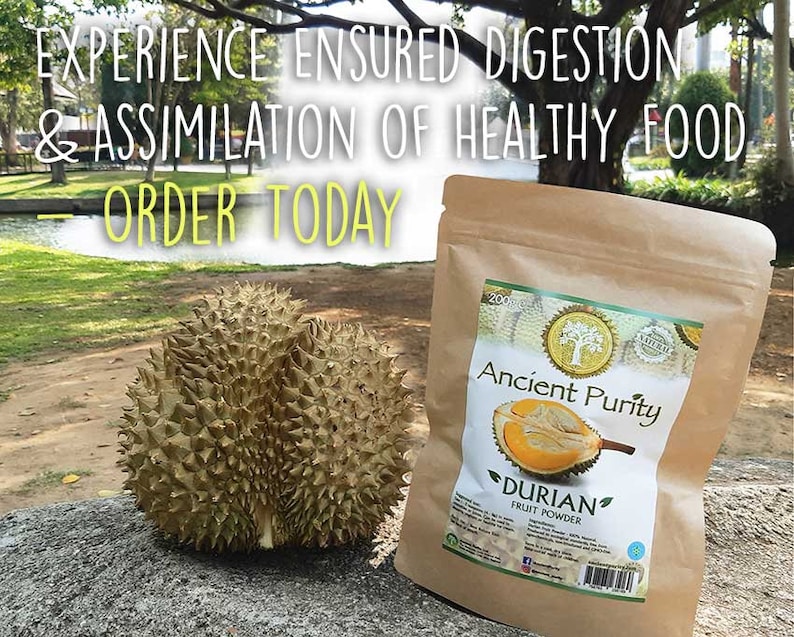 Durian Fruit Powder - 200g | King of Fruits / Superfood | From Thailand ...