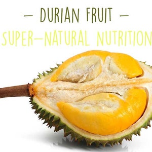 Durian Fruit - Powder (200g) King of Fruits / Superfood Rich in Nutrients & Healthy Fruit Fat ...