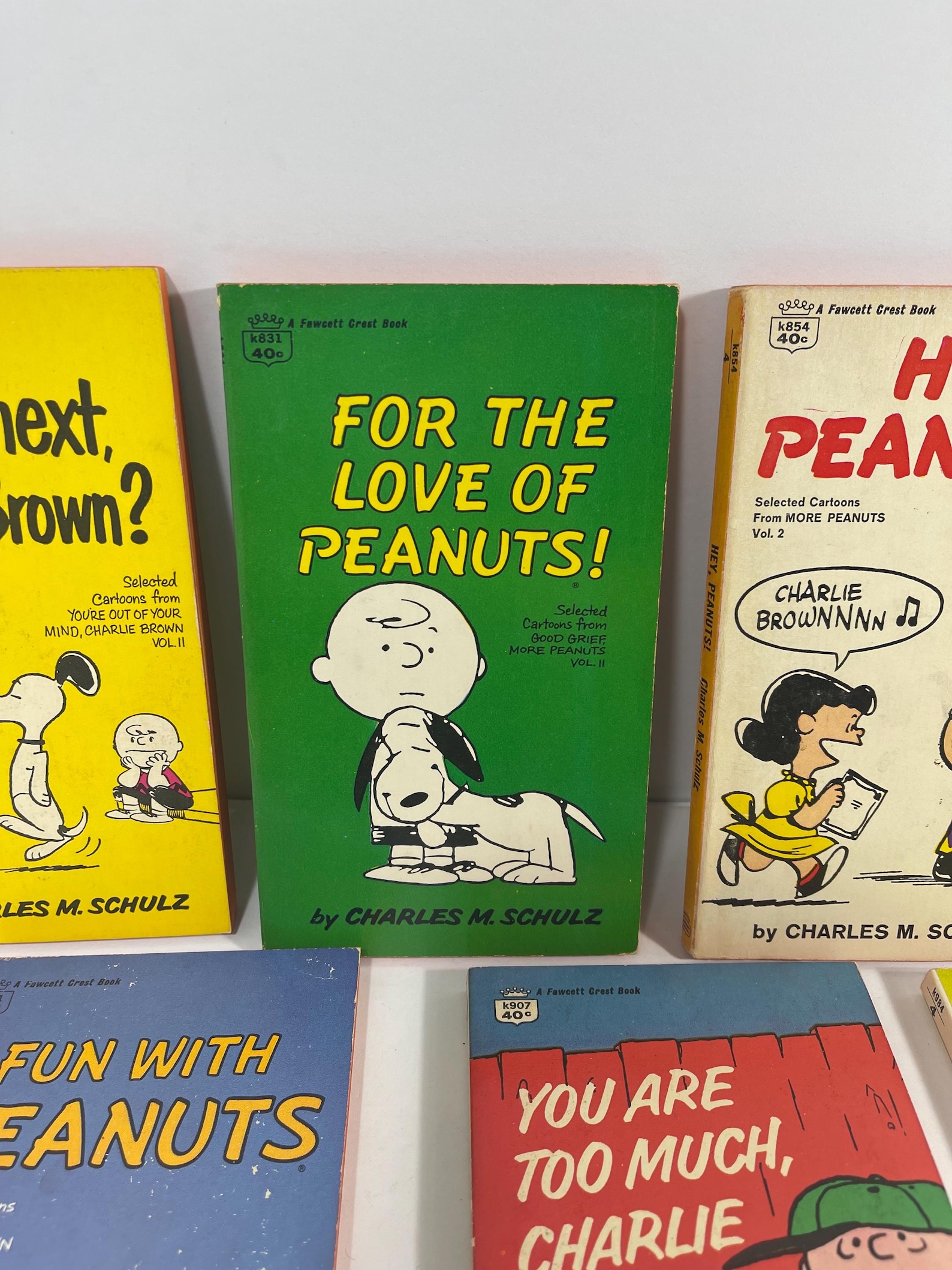 Vintage Charlie Brown and Snoopy - Charles Schultz Peanuts Cartoon ...