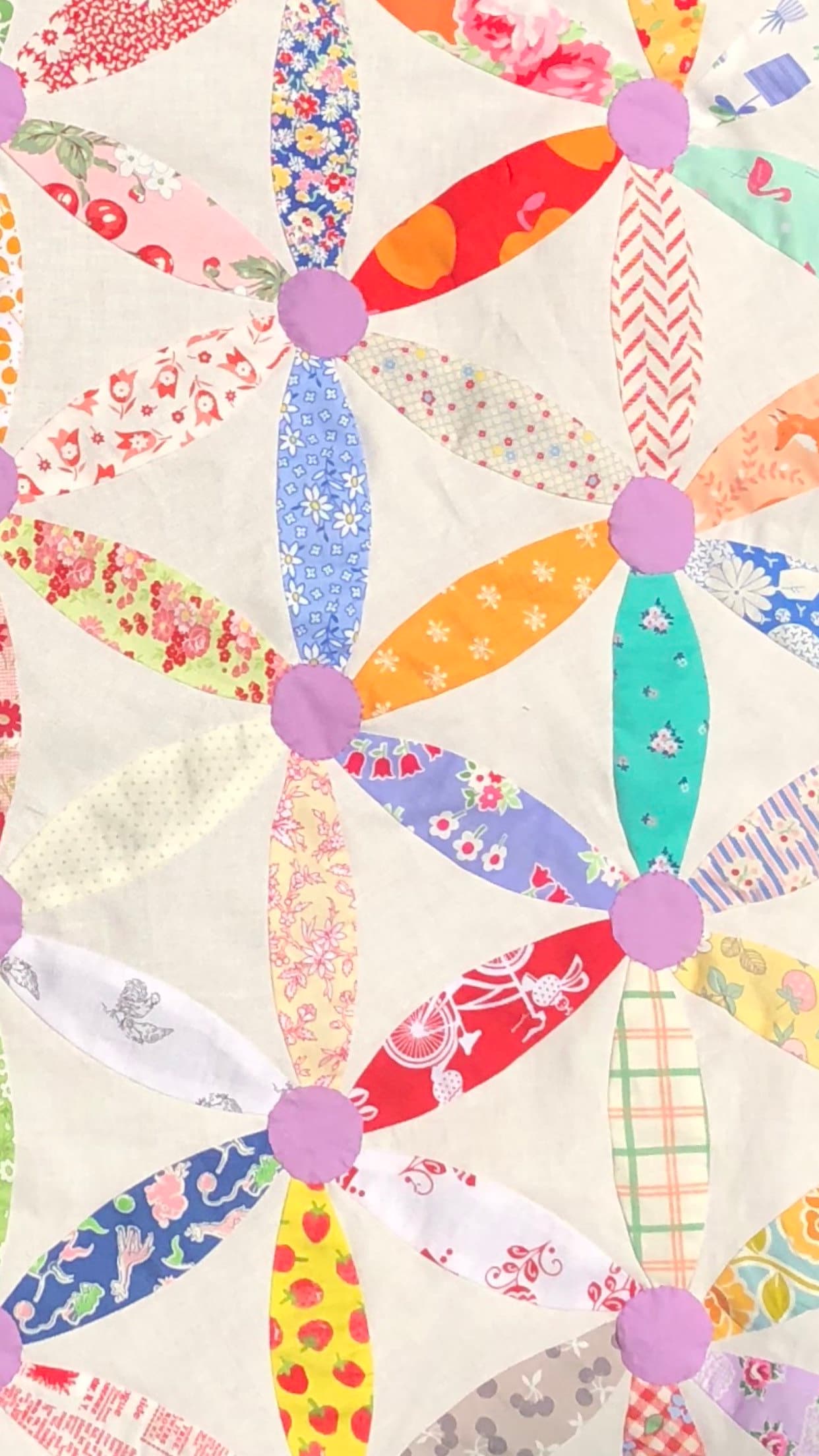 Quilt in a Box Joseph's Coat Pre Cut Quilt Kit 1930s Reproduction ...