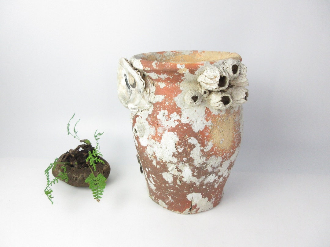 Japanese Antique Takotsubo octopus Trap Pot - Etsy