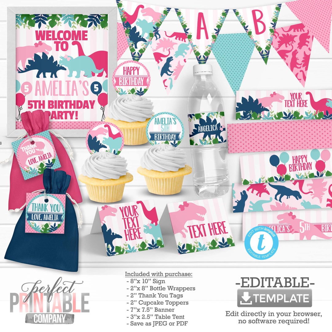 Girl Dinosaur Birthday Decorations, Pink Dinosaur Birthday Decorations ...