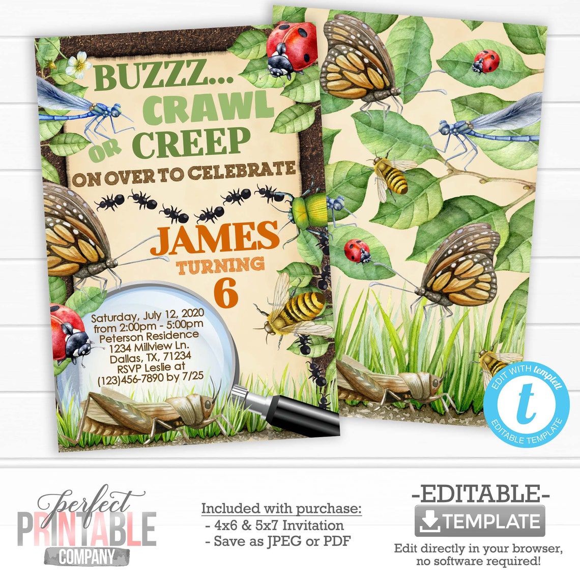 Bug Birthday Invitation, Insect Birthday Invitation, Bug Party ...