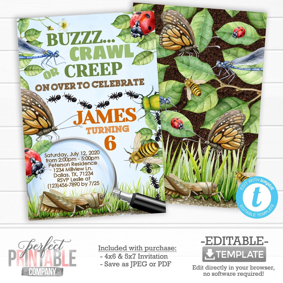 Bug Birthday Invitation Insect Birthday Invitation Bug Party - Etsy