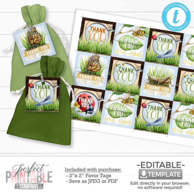 Bug Insect Thank You Tags Bug Insect Party Favors Bug Insect - Etsy