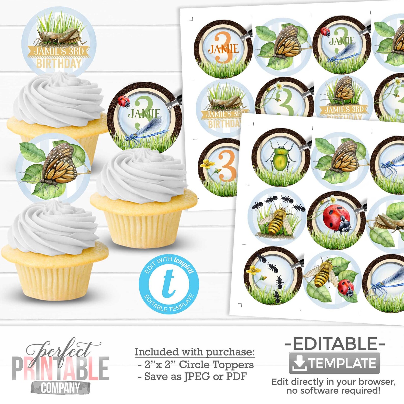 Bug Insect Cupcake Toppers Bug Insect Cake Topper Bug Insect | Etsy