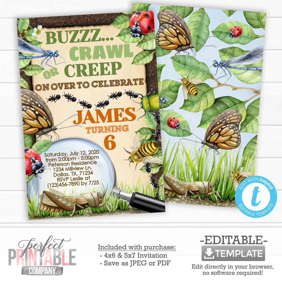 Bug Birthday Invitation, Insect Birthday Invitation, Bug Party ...