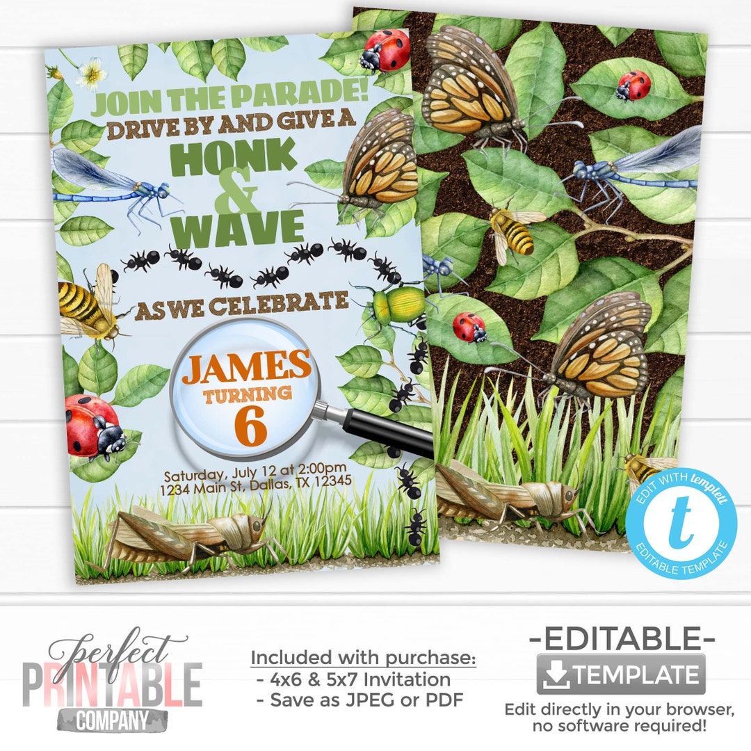 Editable Insect Drive by Parade Invitation, Insect Birthday Party ...