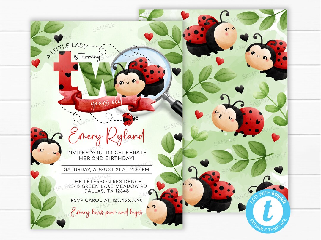 Ladybug Birthday Party Invitation, Ladybug Invite, Insect Lady Bug 2nd ...