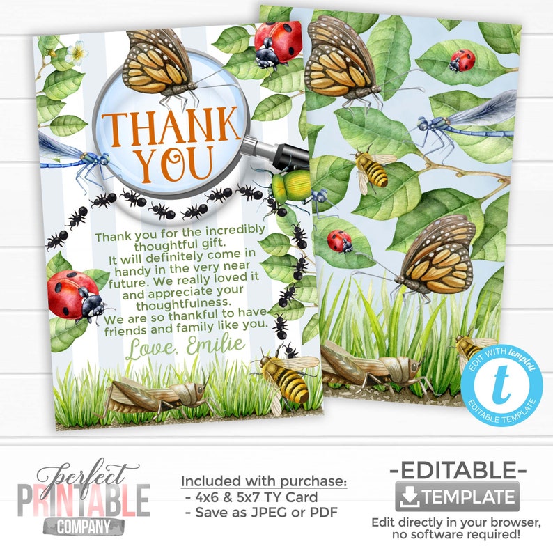 Insect Baby Shower Thank You Card Bug Birthday Thank You - Etsy