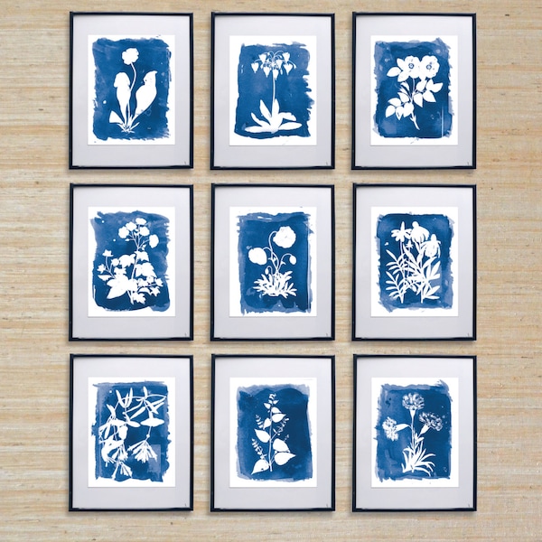Cyanotype - Etsy
