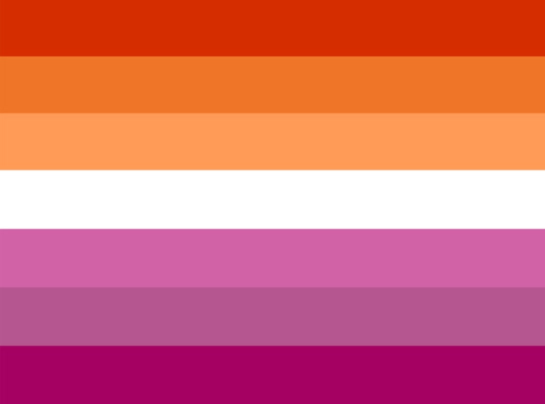 Lesbian Bumper Sticker Etsy