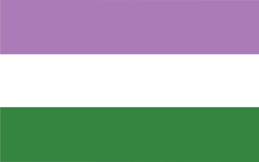 Gender Queer Bumper Sticker - Etsy