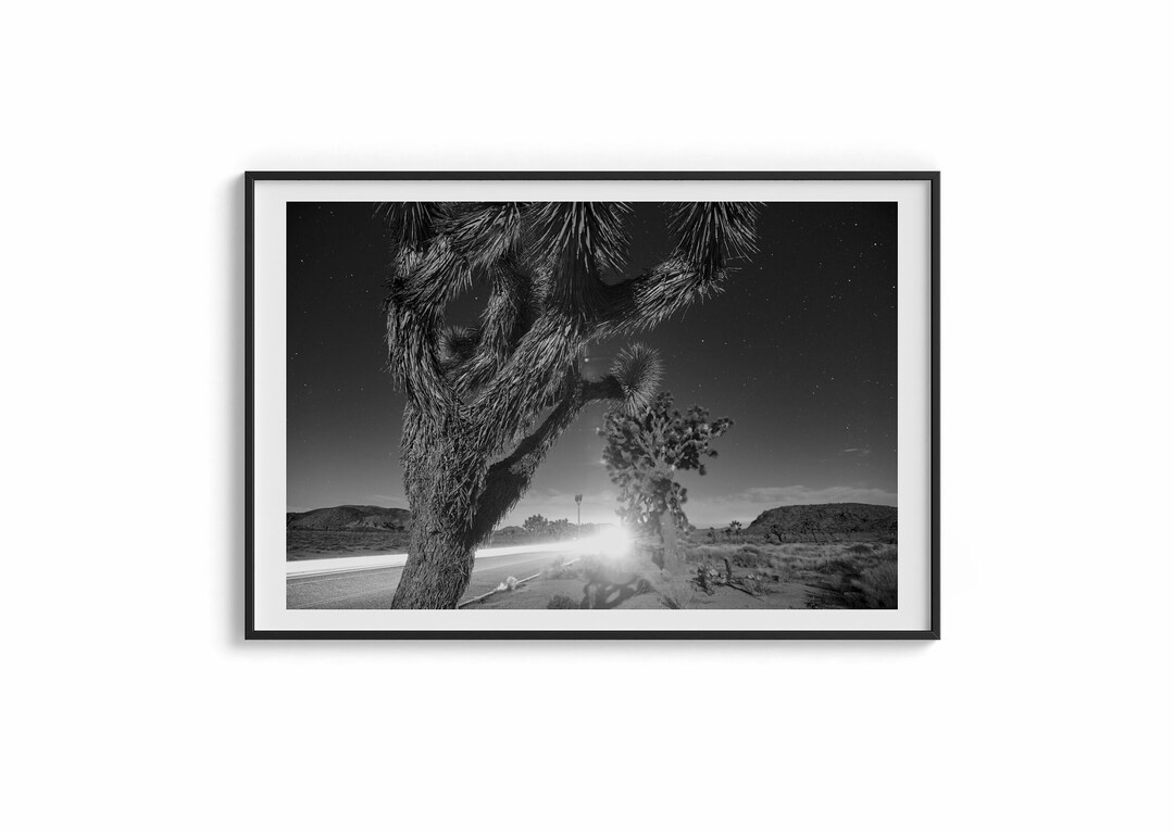 Joshua Tree Photo Print - Desert Vibes Wall Art - National Park Black ...
