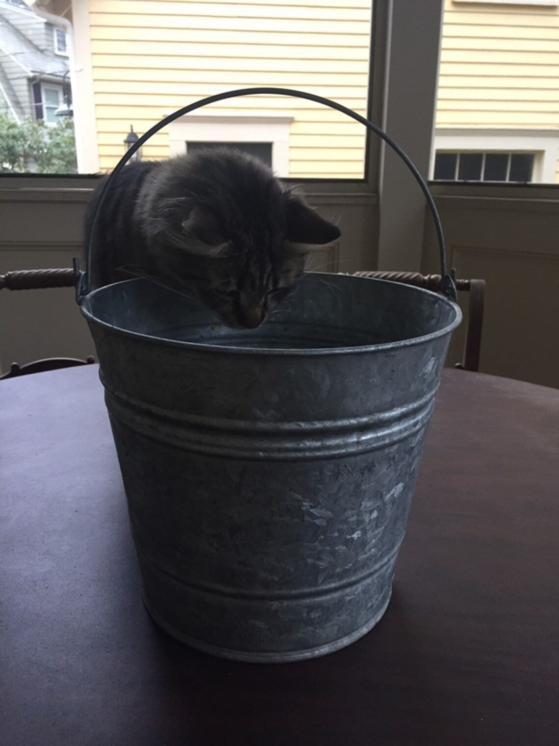 Rustic Russian Soviet Era Galvanized Zinc Pail Bucket With | Etsy