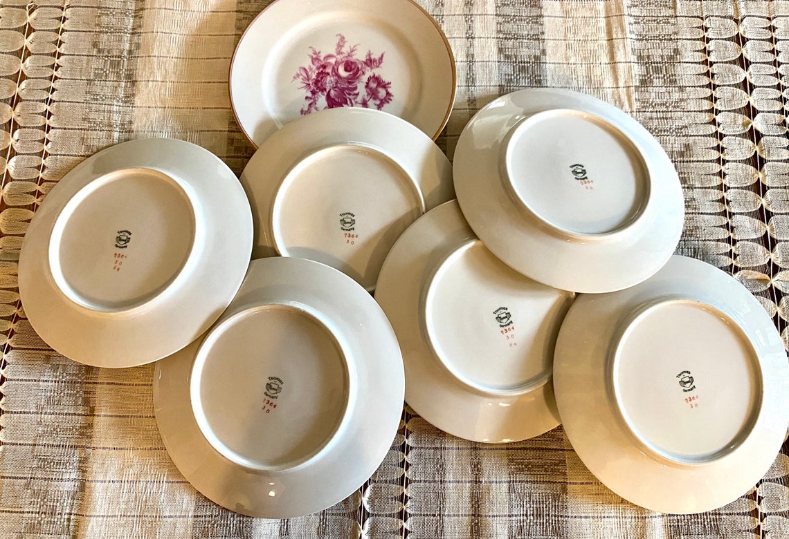 Set of 7 Salad Plates Thomas 7364 Made in Germany Pink Floral Center ...