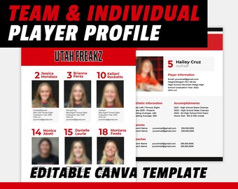 Fast Pitch Softball, Player Profile Template, Used for College ...