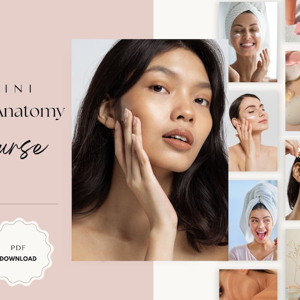 Skin Anatomy Training Manual - Etsy