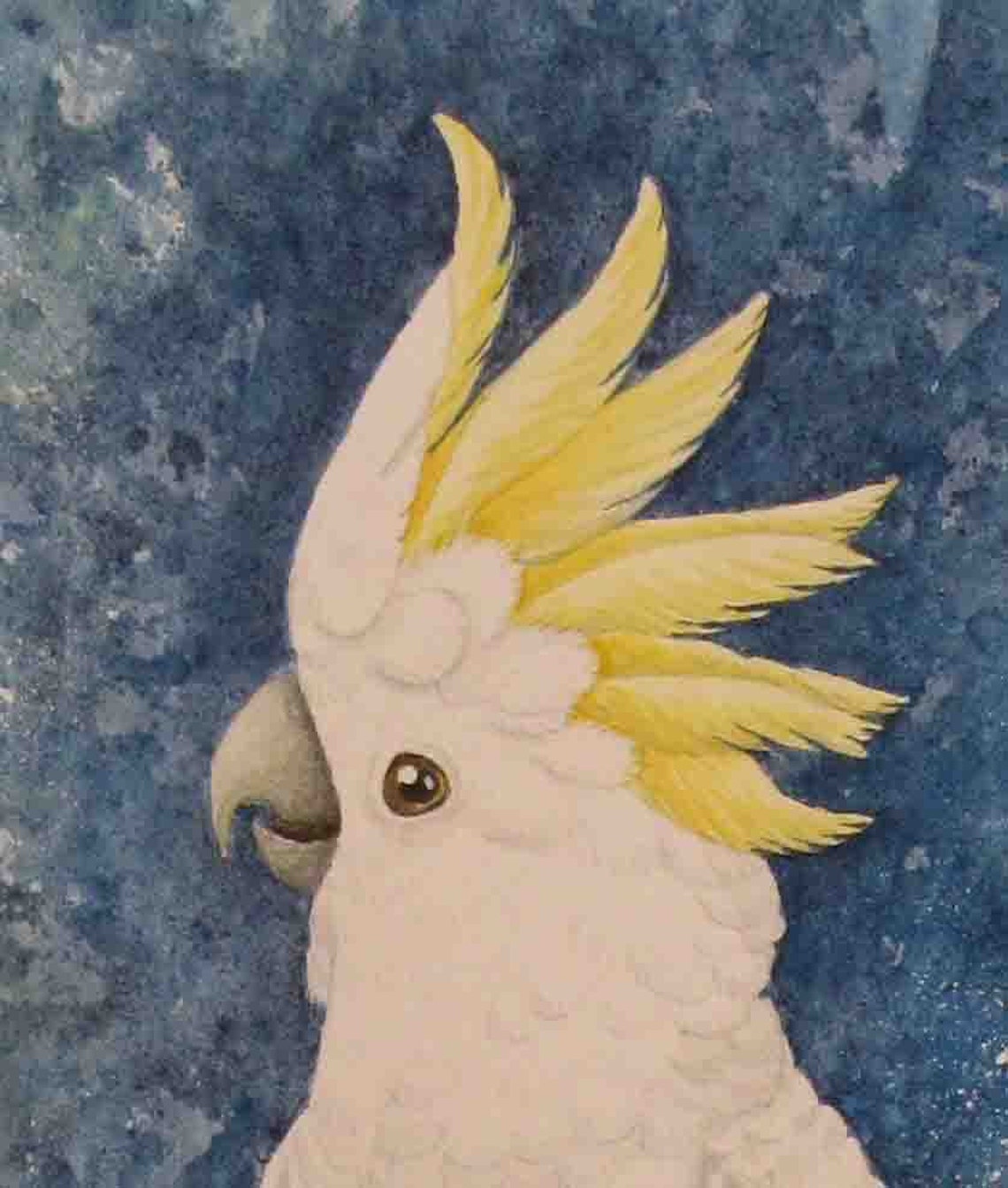 Cockatoo, Original Watercolour Painting Fine Art Print on Paper by ...