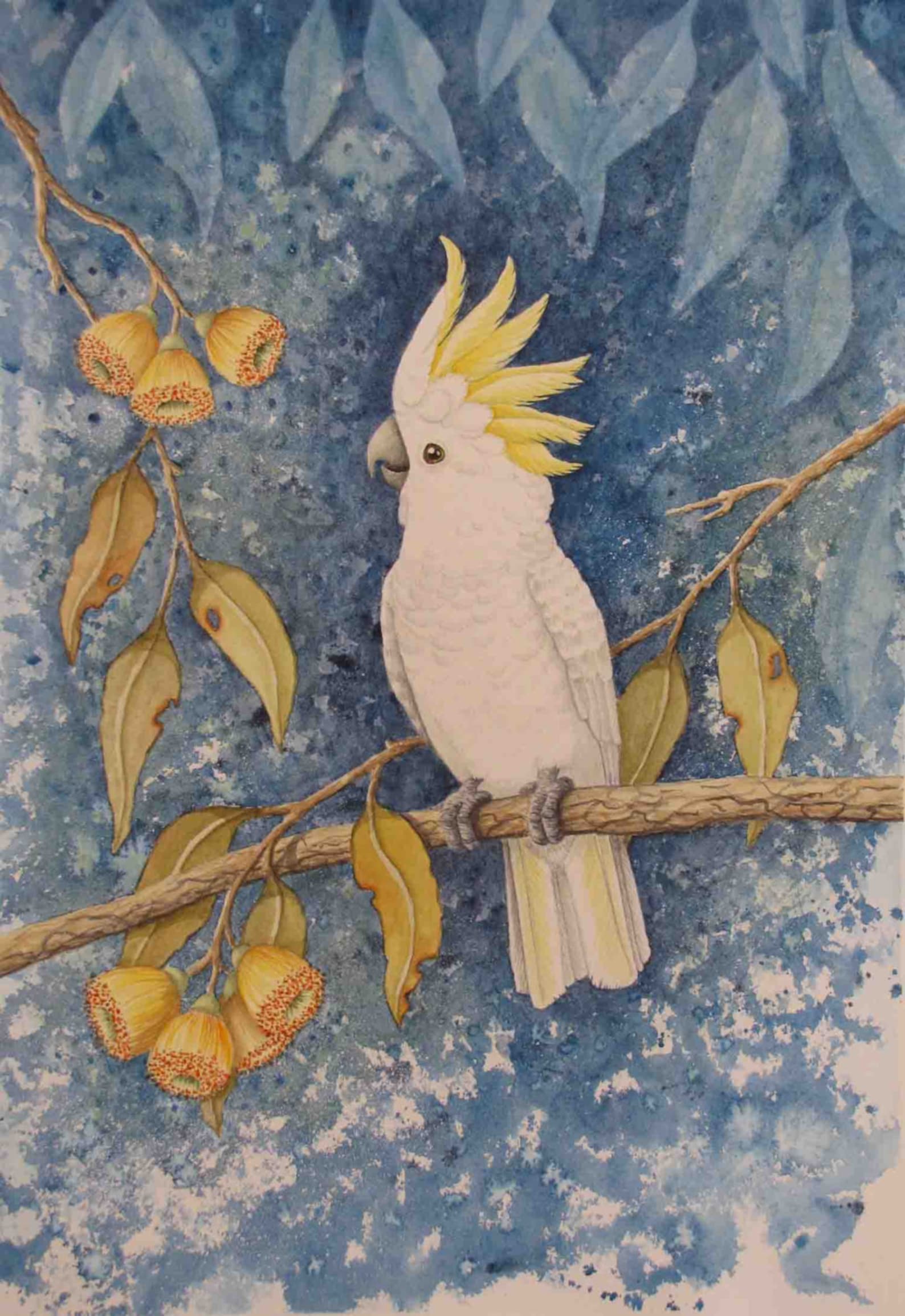 Cockatoo Print: Australian Native Bird Watercolor Art (5x7 Image, 8x10 ...