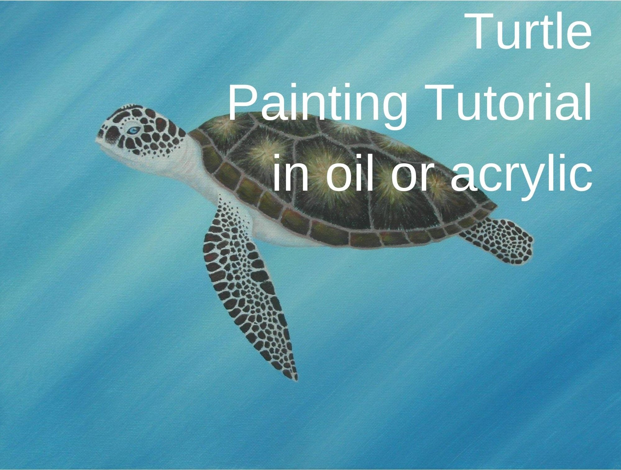 Turtle Painting Tutorial in Oil or Acrylic, How to a Paint a Turtle ...