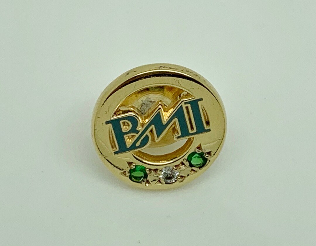 Gold on Sterling Silver Enamel BMI Healthcare 20 Years Long Service Pin ...