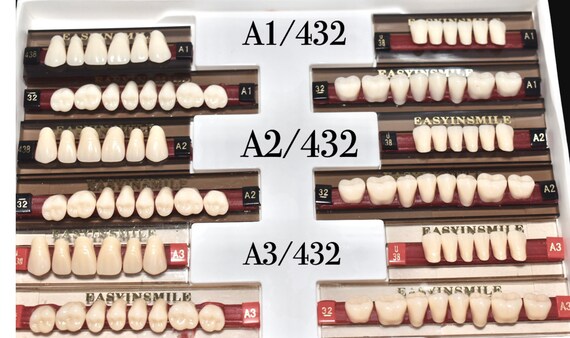 Acrylic Denture Teeth Set 28 A1 A2 A3 Replacement Teeth | Etsy