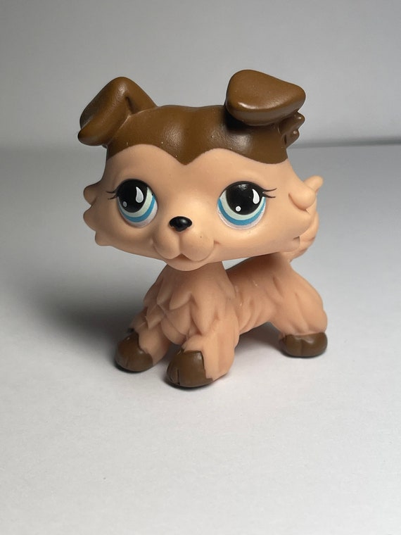 How Do Lps Real Collie Looks