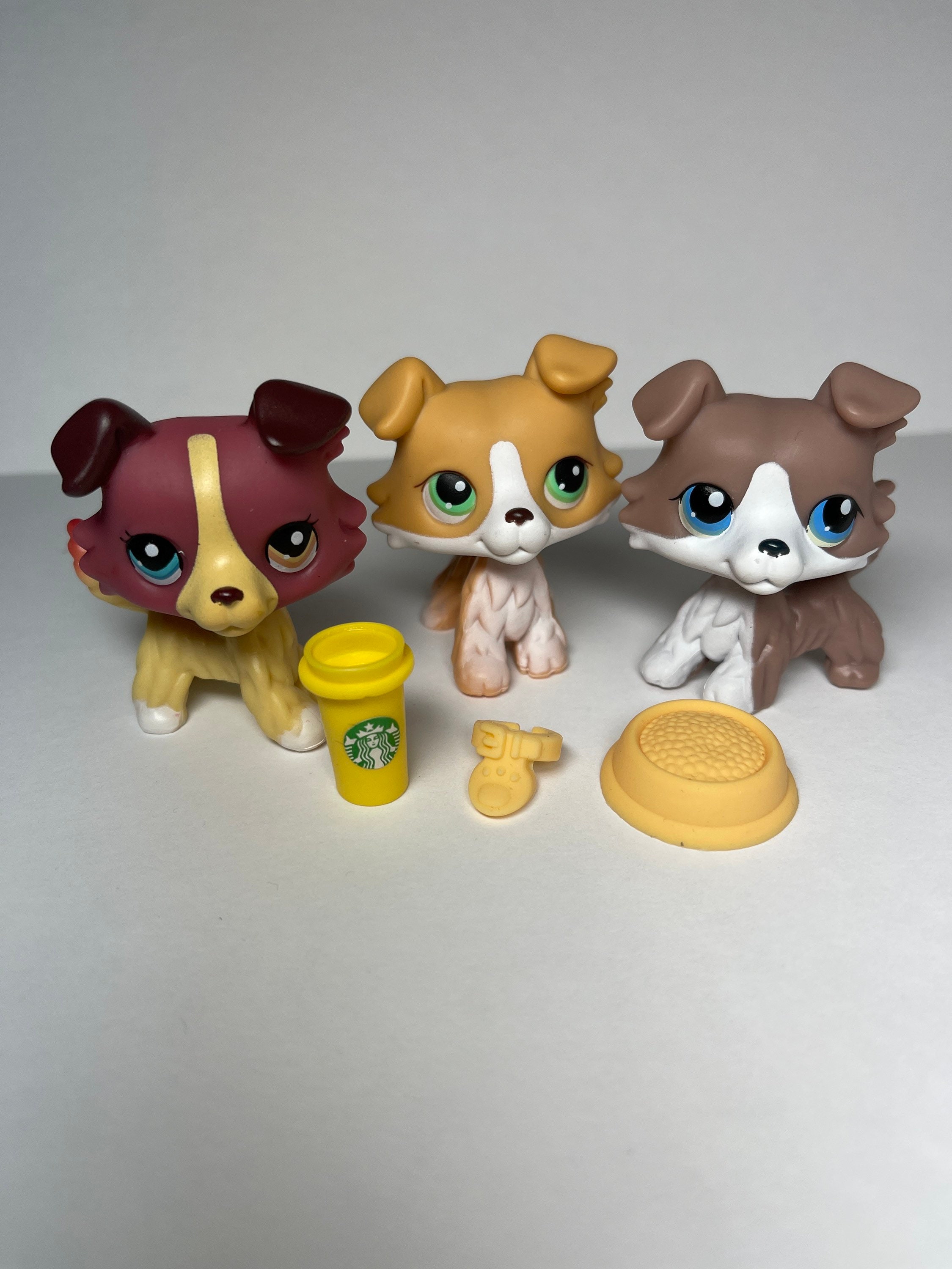 How Do Lps Real Collie Looks