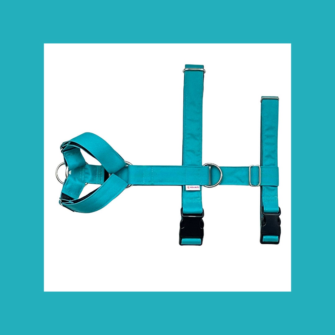 Triple Dog Harness for Greyhound and Other Breeds Turquoise Green. Not ...