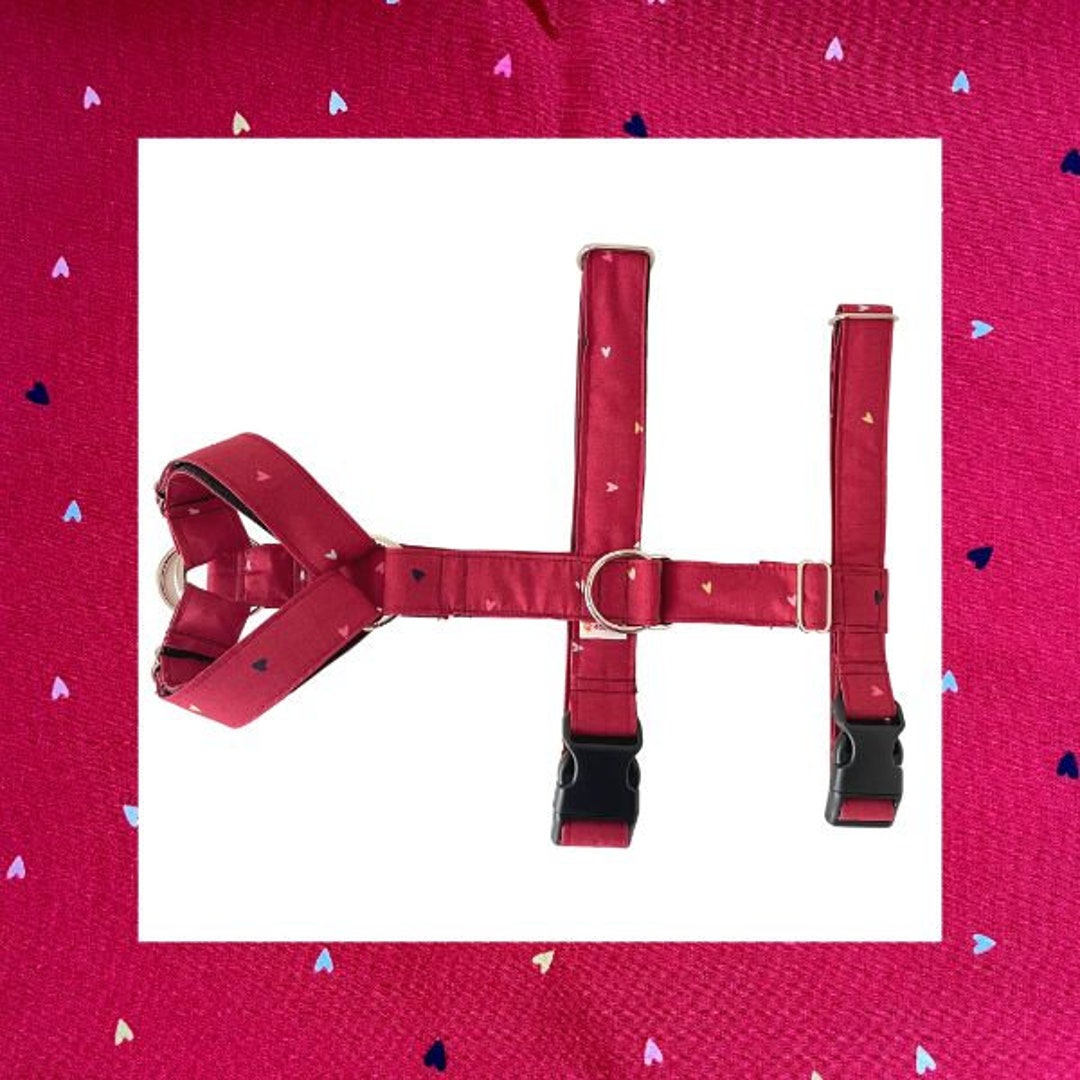 Triple Dog Harness for Greyhound and Other Breeds Dark Red Hearts. Not ...