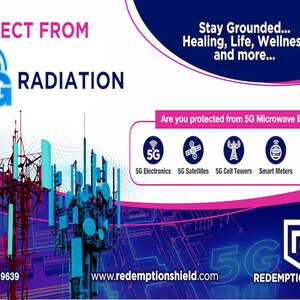 Shielding 4-door Box Canopy 100% Silver Mesh Box Canopy EMF/RF/EMR ...