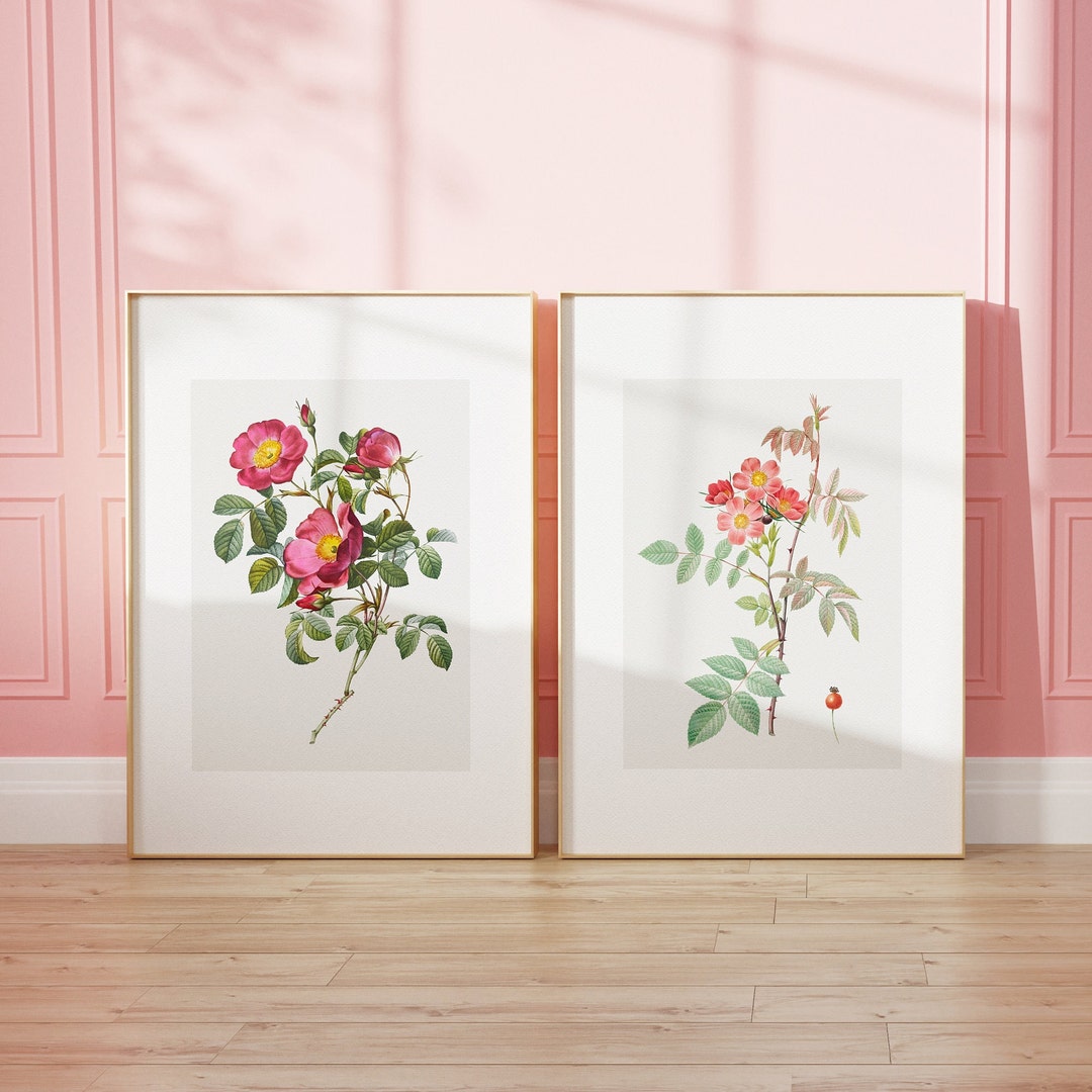 Vintage Gallery Wall | Vintage Prints | Art Download | Digital Prints ...