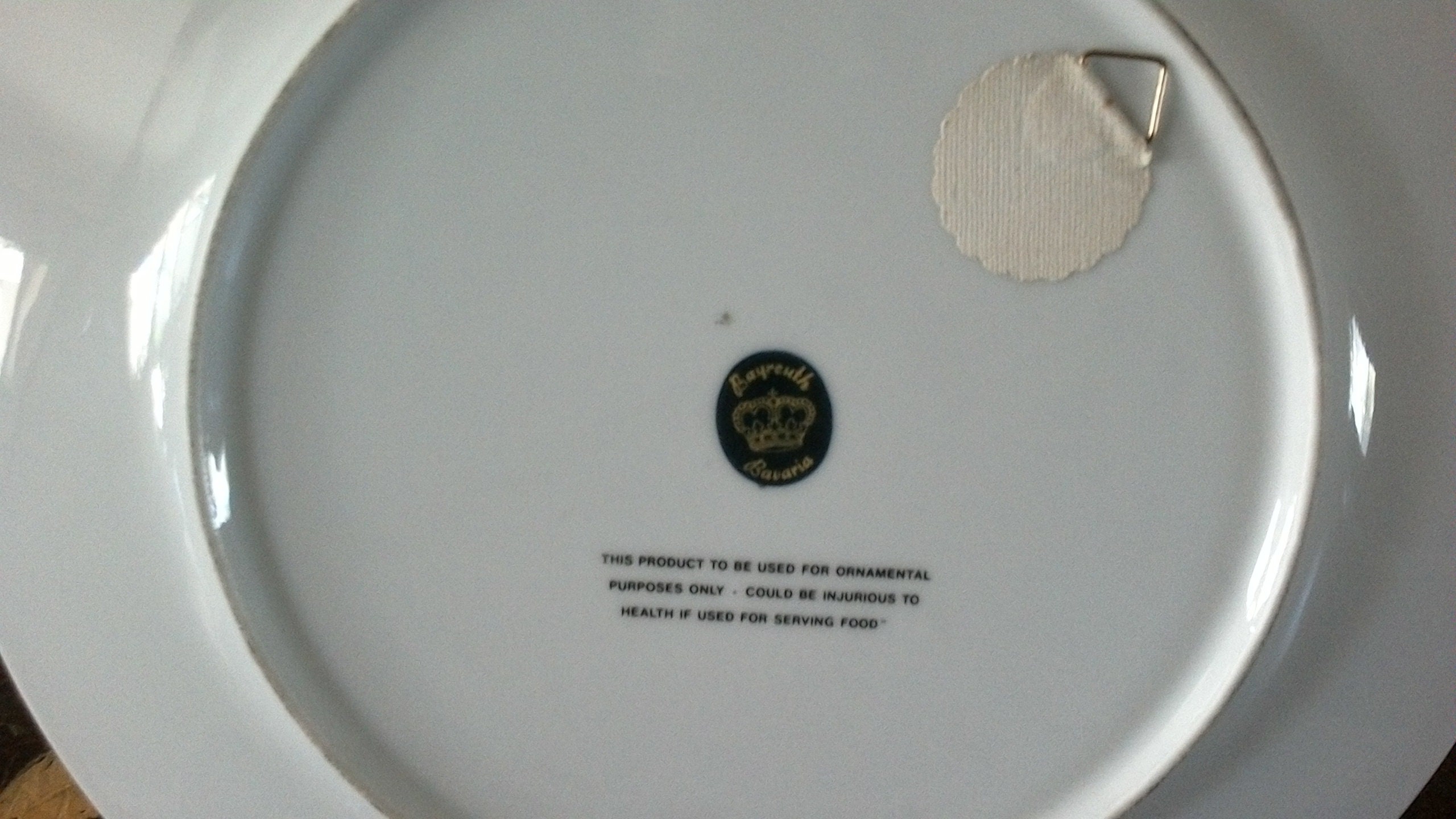 Bayreuth Bavaria Plate Vintage German Plate Collector Plate - Etsy