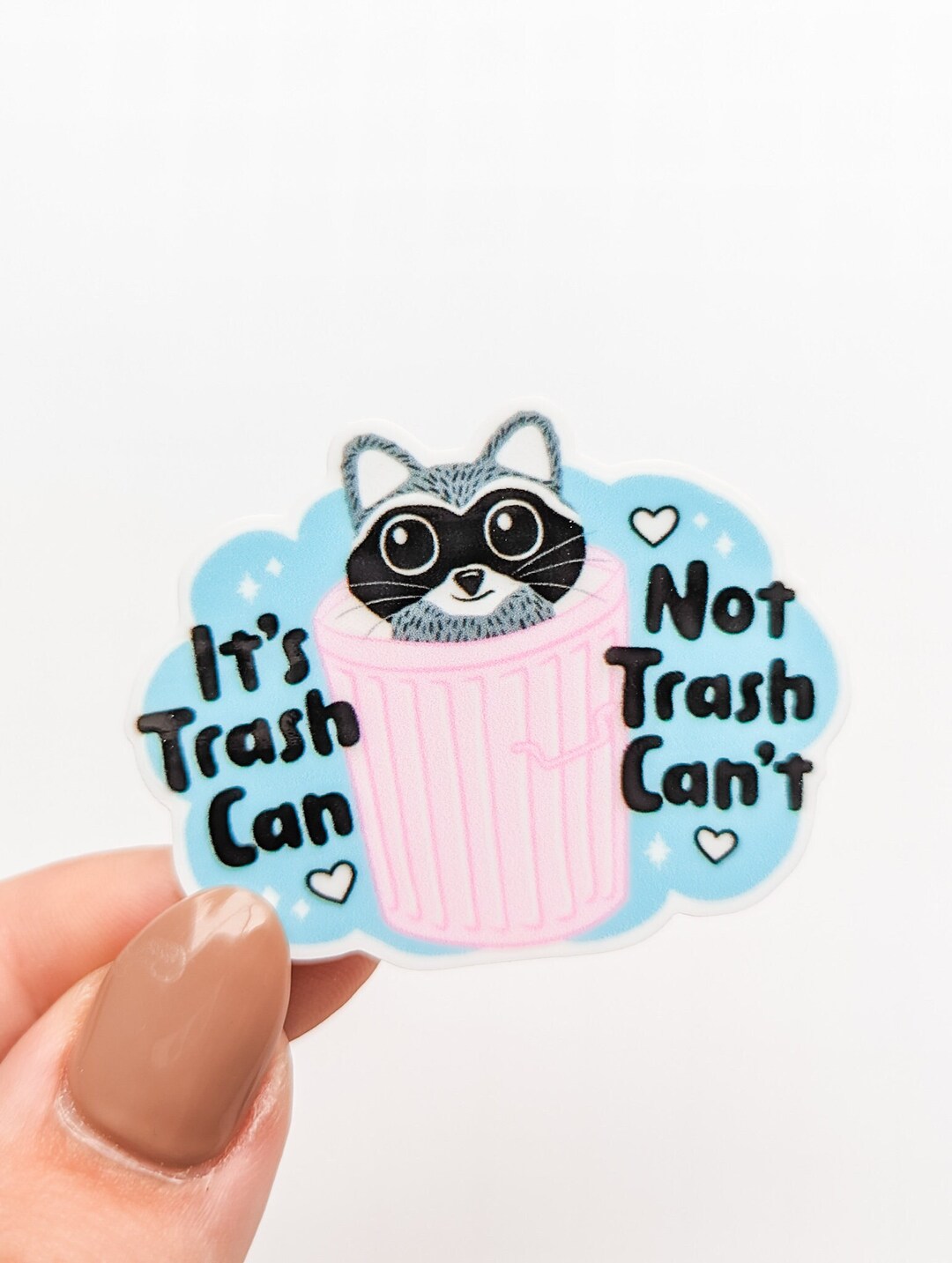 Trash Can / Raccoon / Positive Affirmation / PLASTIC Add on / 12B23 - Etsy