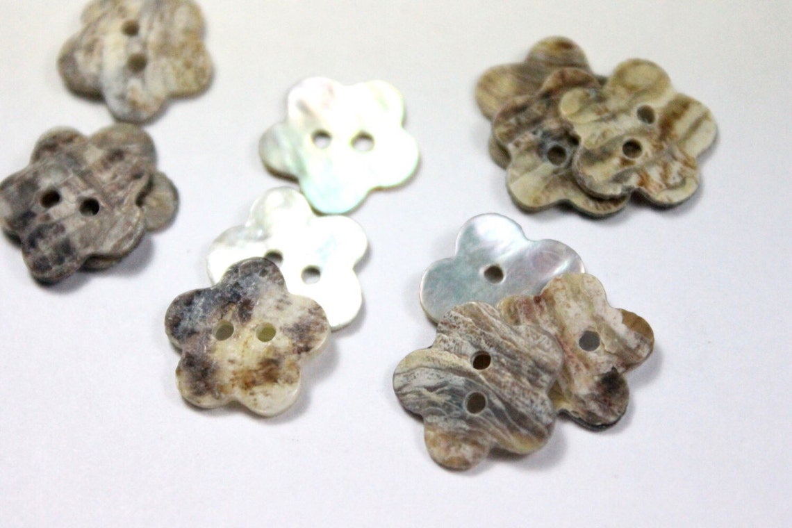 Shell Buttons 2 Hole Shell Button Seashell Buttons - Etsy