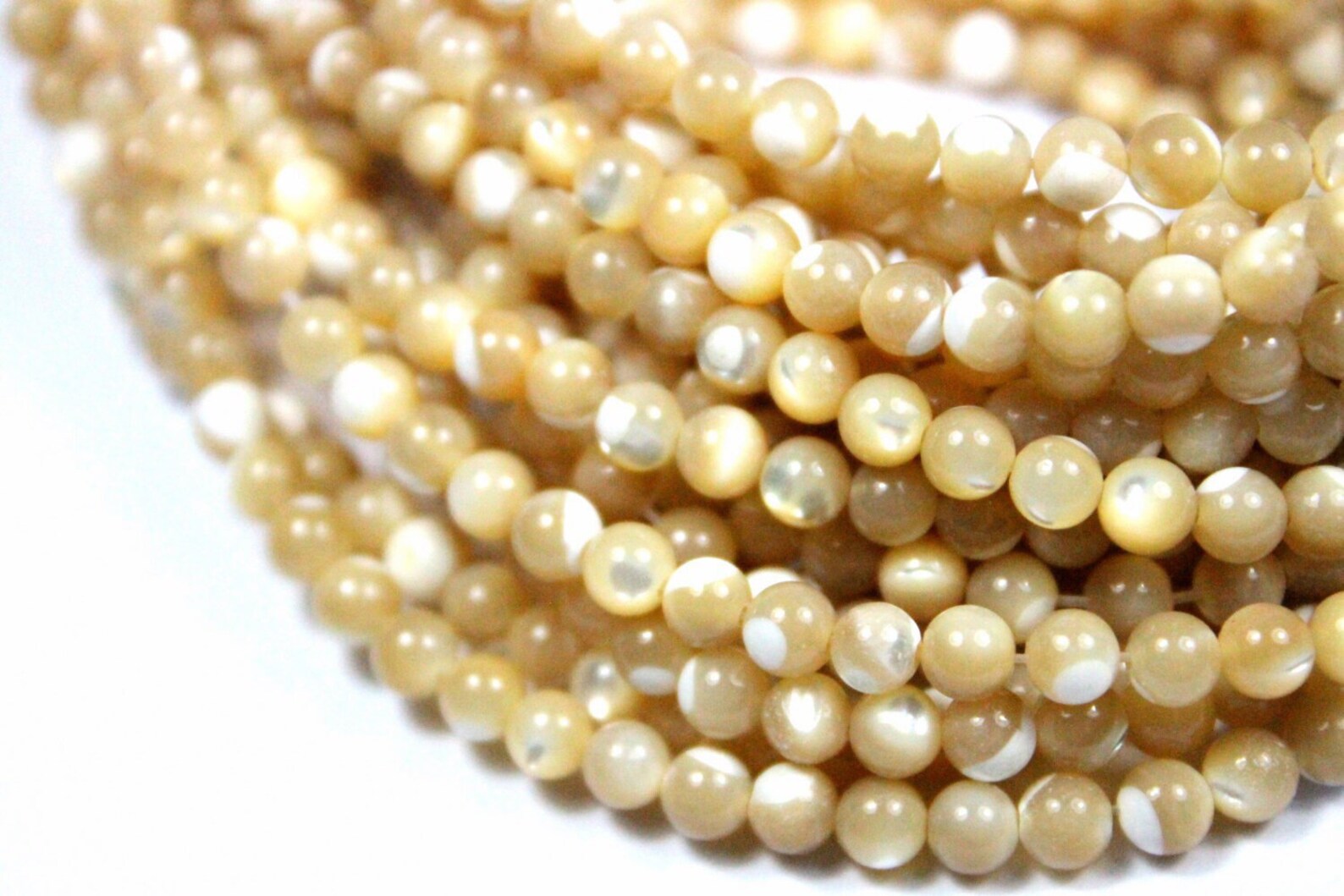 4mm Ivory Shell Beads Shell Beads 16inch Full Strand - Etsy