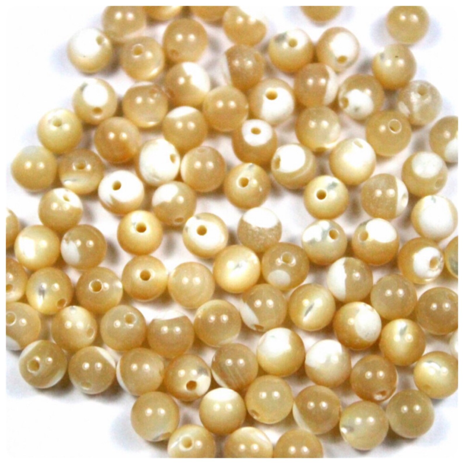 4mm Ivory Shell Beads Shell Beads 16inch Full Strand - Etsy