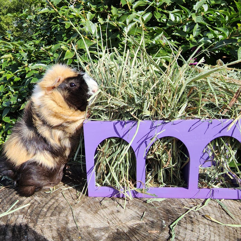 Rabbit House Hay Rack - Etsy