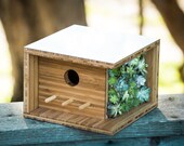 Sunset Modern - Modernist Birdhouse